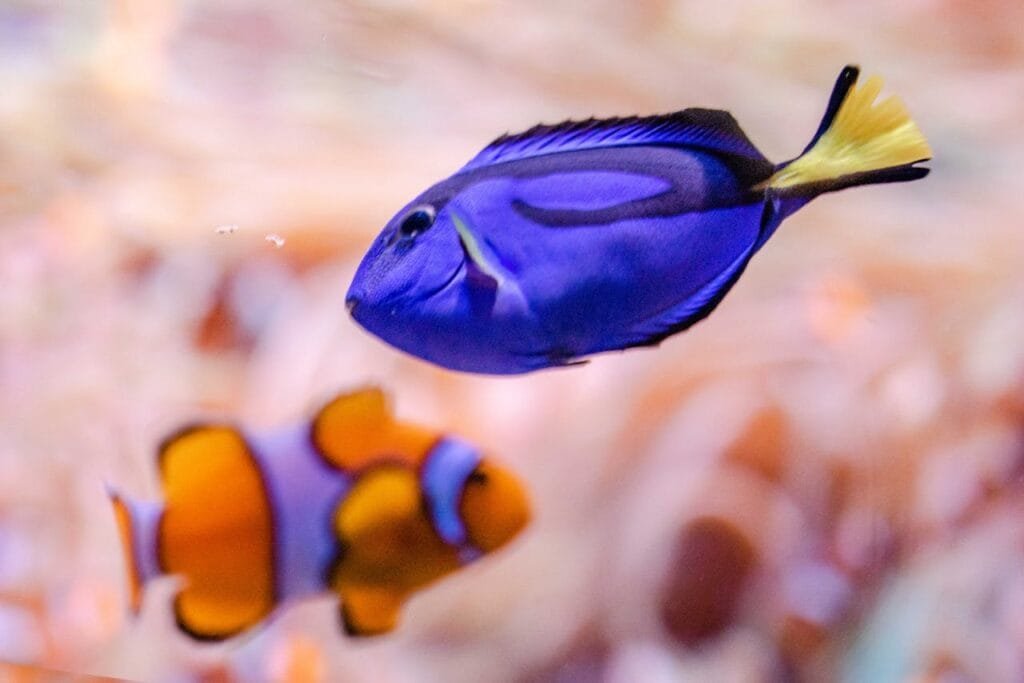 Absent-mindedness at work: what it reveals and how to avoid it